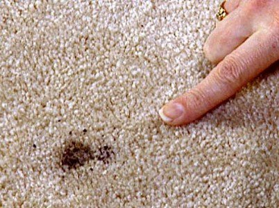 Burn Marks on Your Carpet - Repair Instructions | How To Build A House